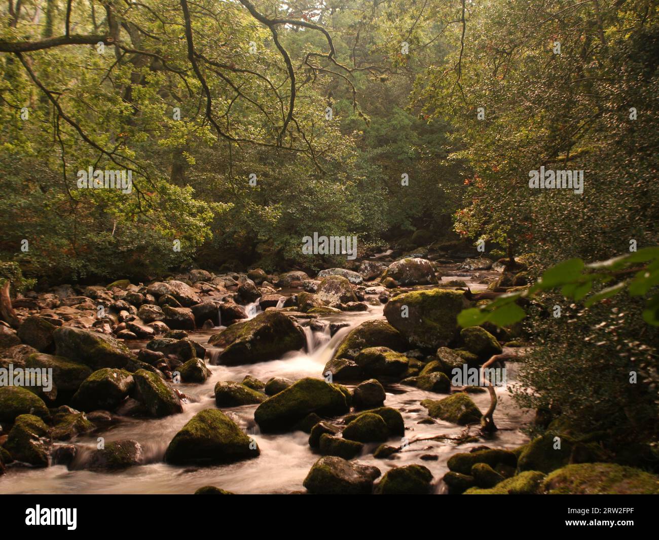 Dewerstone, Shaugh Prior and River Plym Stock Photo - Alamy