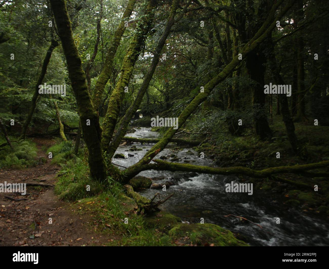 Woodland reservoir hi-res stock photography and images - Alamy