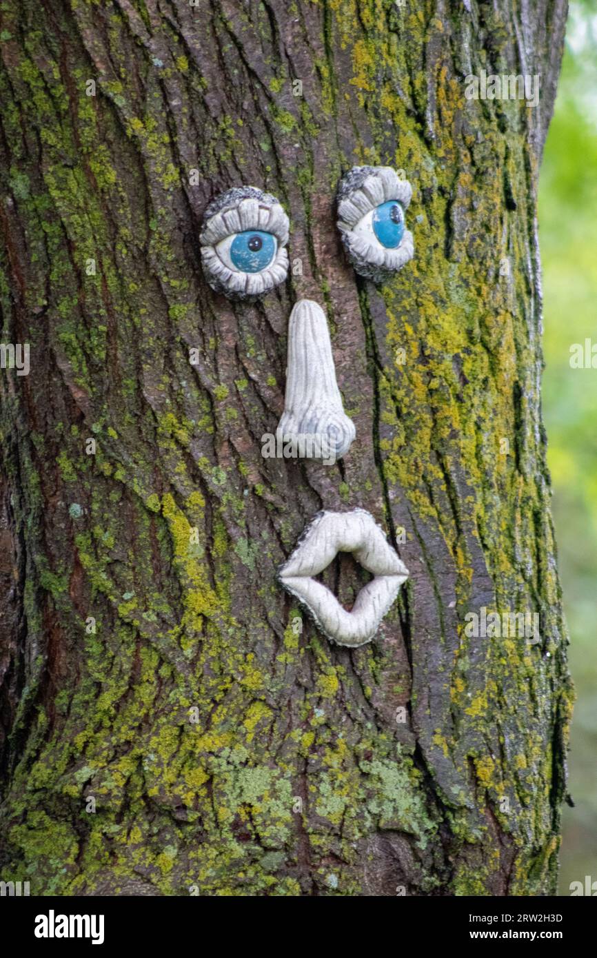 Funny Face on the trunk of a tree . High quality photo Stock Photo - Alamy
