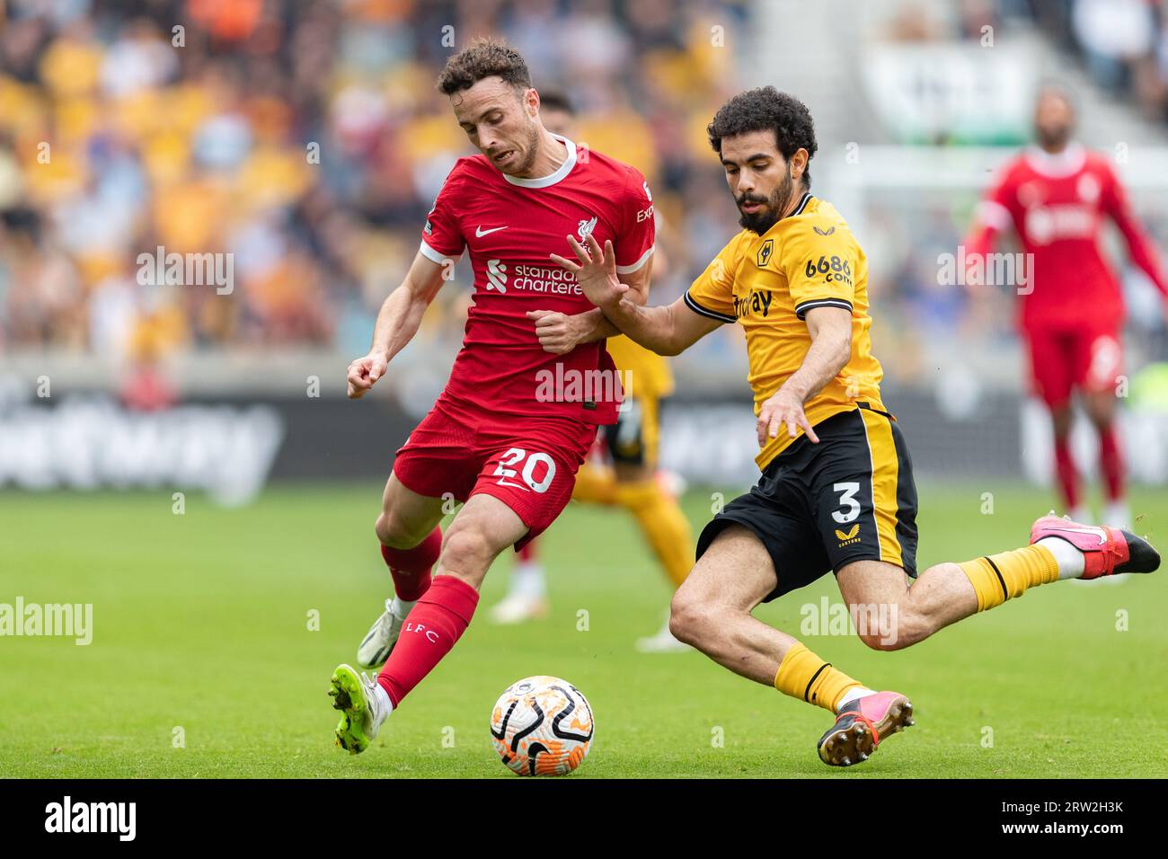 Ait nouri wolves 2023 september hi-res stock photography and images - Alamy