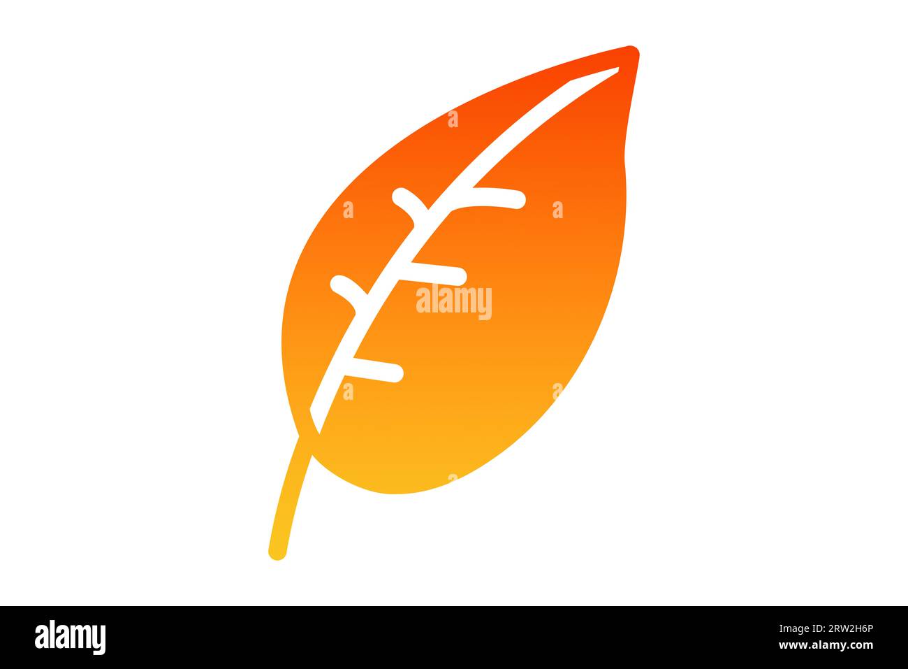 Eco green color leaf vector logo flat icon set. Isolated leaves shapes ...