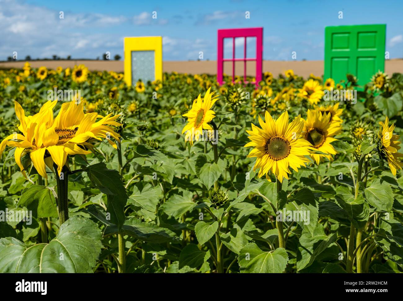 Colourful doors hi-res stock photography and images - Alamy
