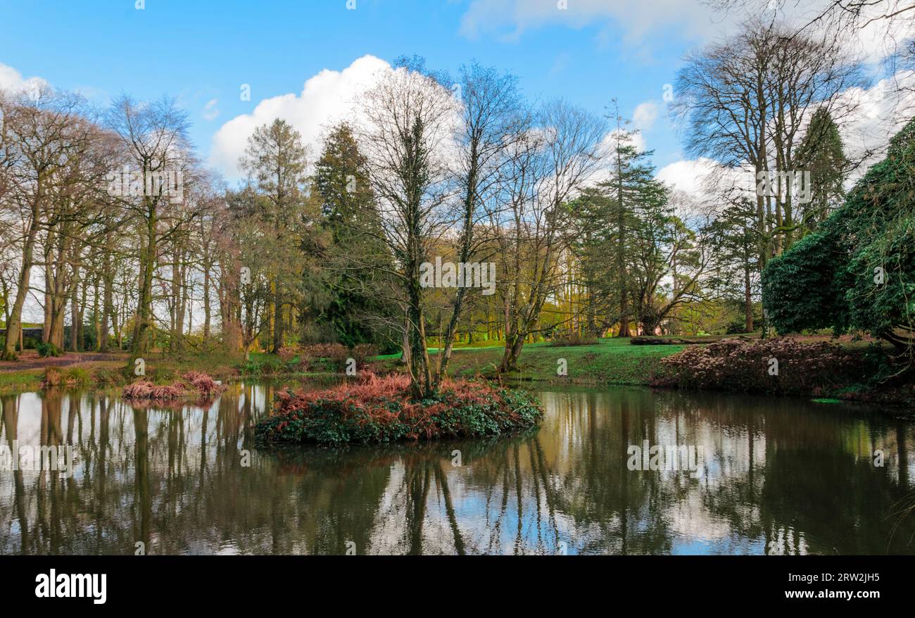 Pond in rowallane hi-res stock photography and images - Alamy