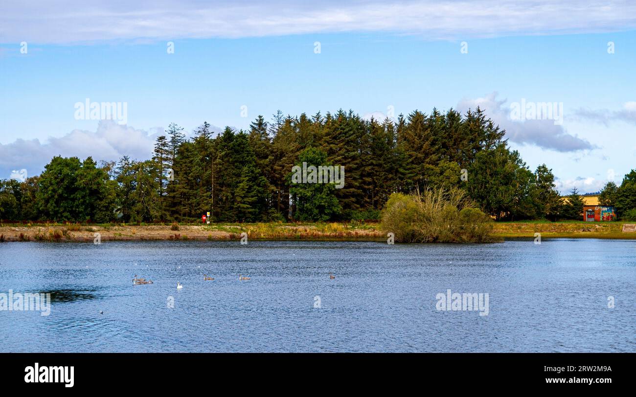 Clatto reservoir scotland hi-res stock photography and images - Alamy