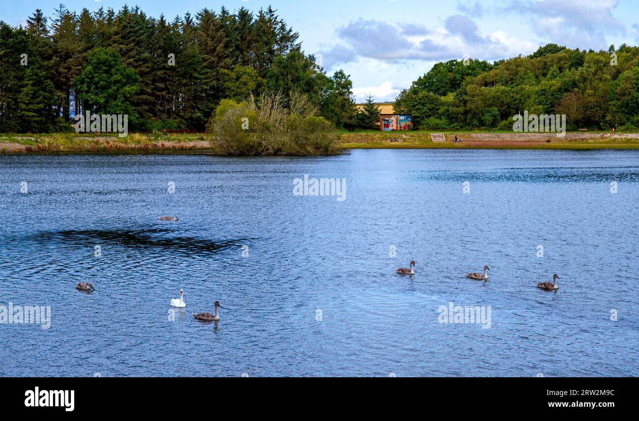 Clatto country park hi-res stock photography and images - Alamy