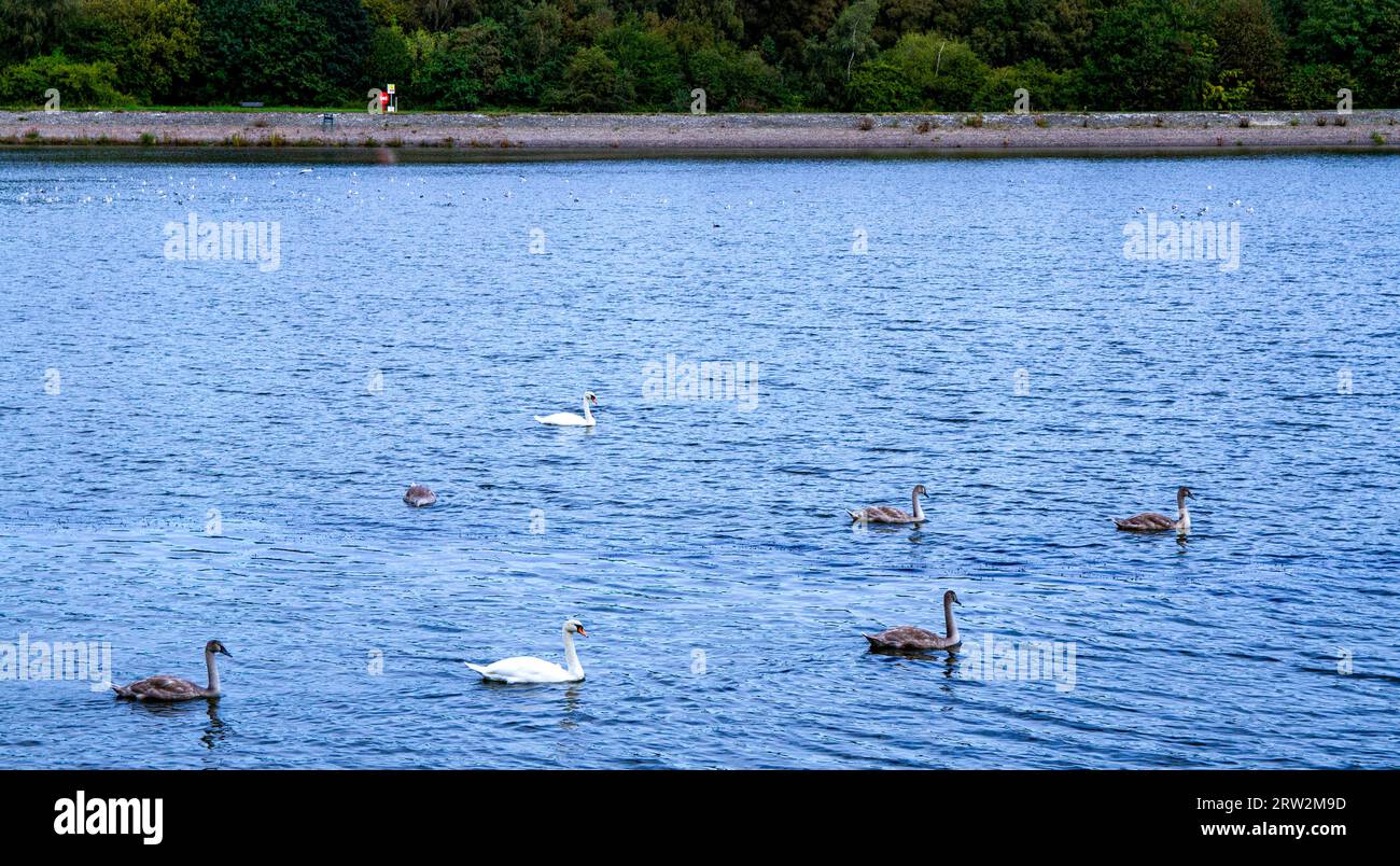 Dundee, Tayside, Scotland, UK. 16th September, 2023. Clatto Country ...