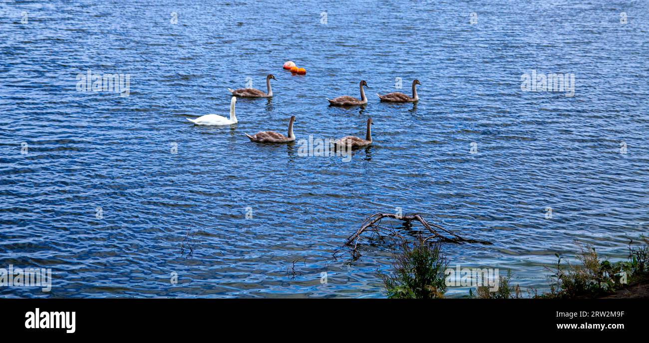 Dundee, Tayside, Scotland, UK. 16th September, 2023. Clatto Country ...