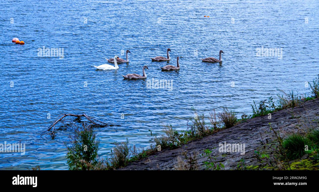 Clatto country park hi-res stock photography and images - Alamy