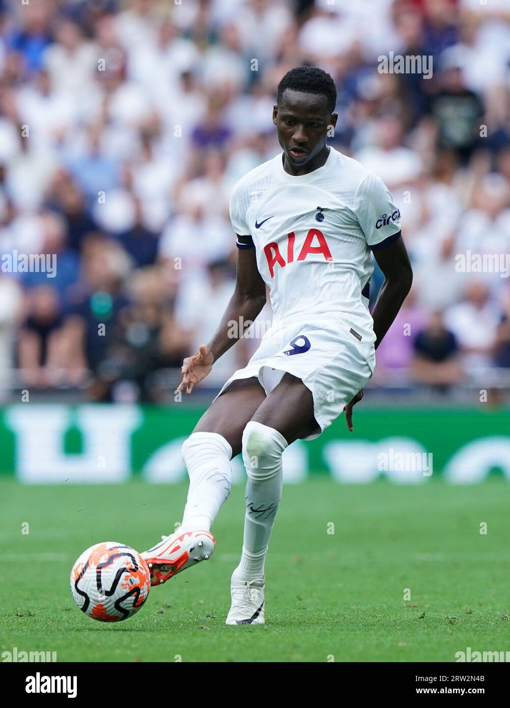 16 and pape sarr tottenham hotspur hi-res stock photography and images ...