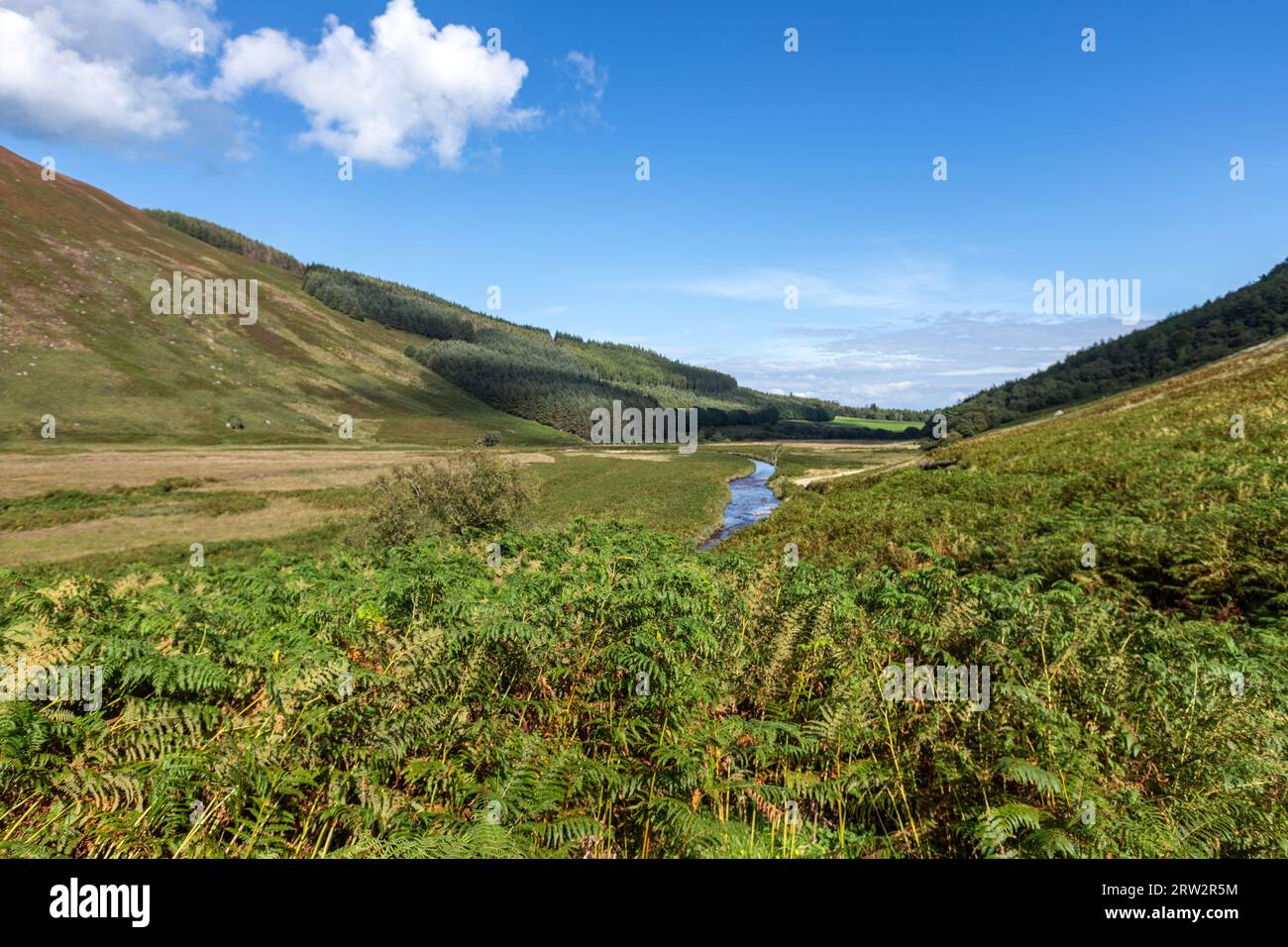Glen Rosa, Goat Fell, Isle of Arran, Firth of Clyde, Scotland, UK Stock ...