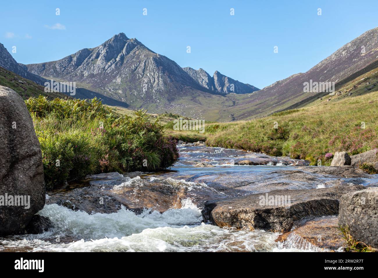 Glenrosa hi-res stock photography and images - Alamy