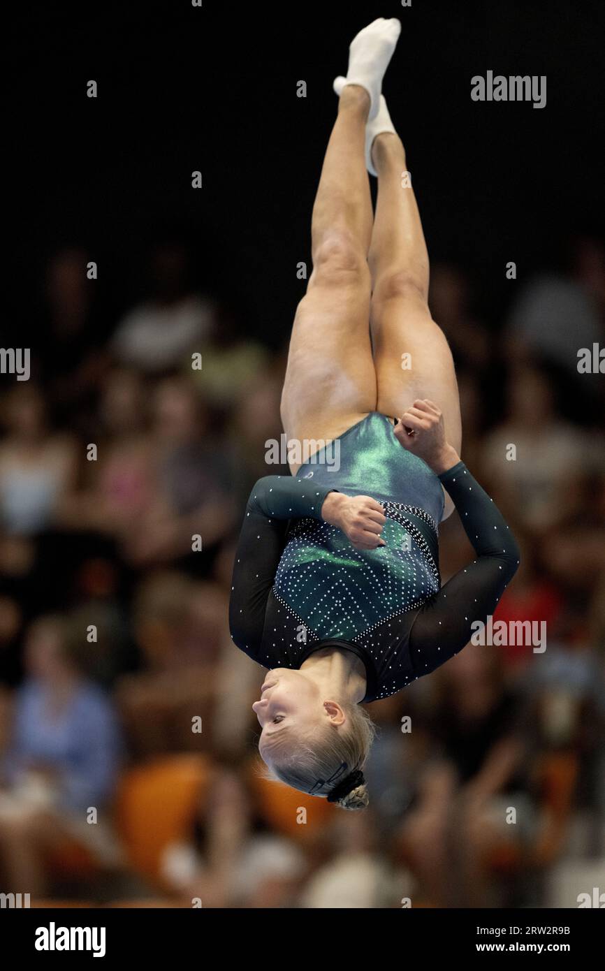 ROTTERDAM - Gymnast Sara van Disseldorp in action on beam during the ...