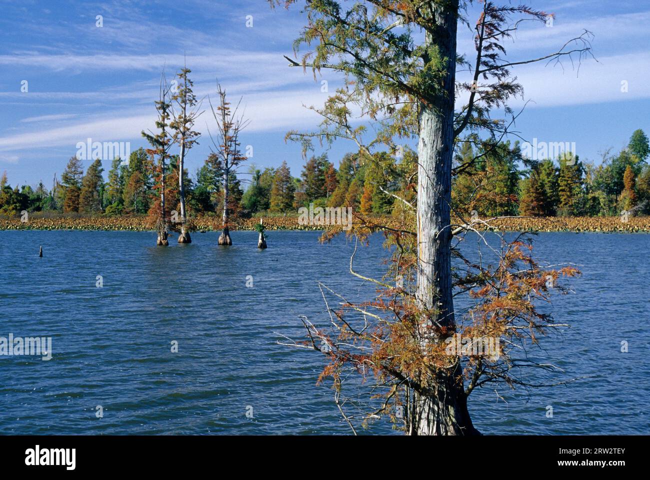 Fish and wildlife conservation hi-res stock photography and images - Alamy