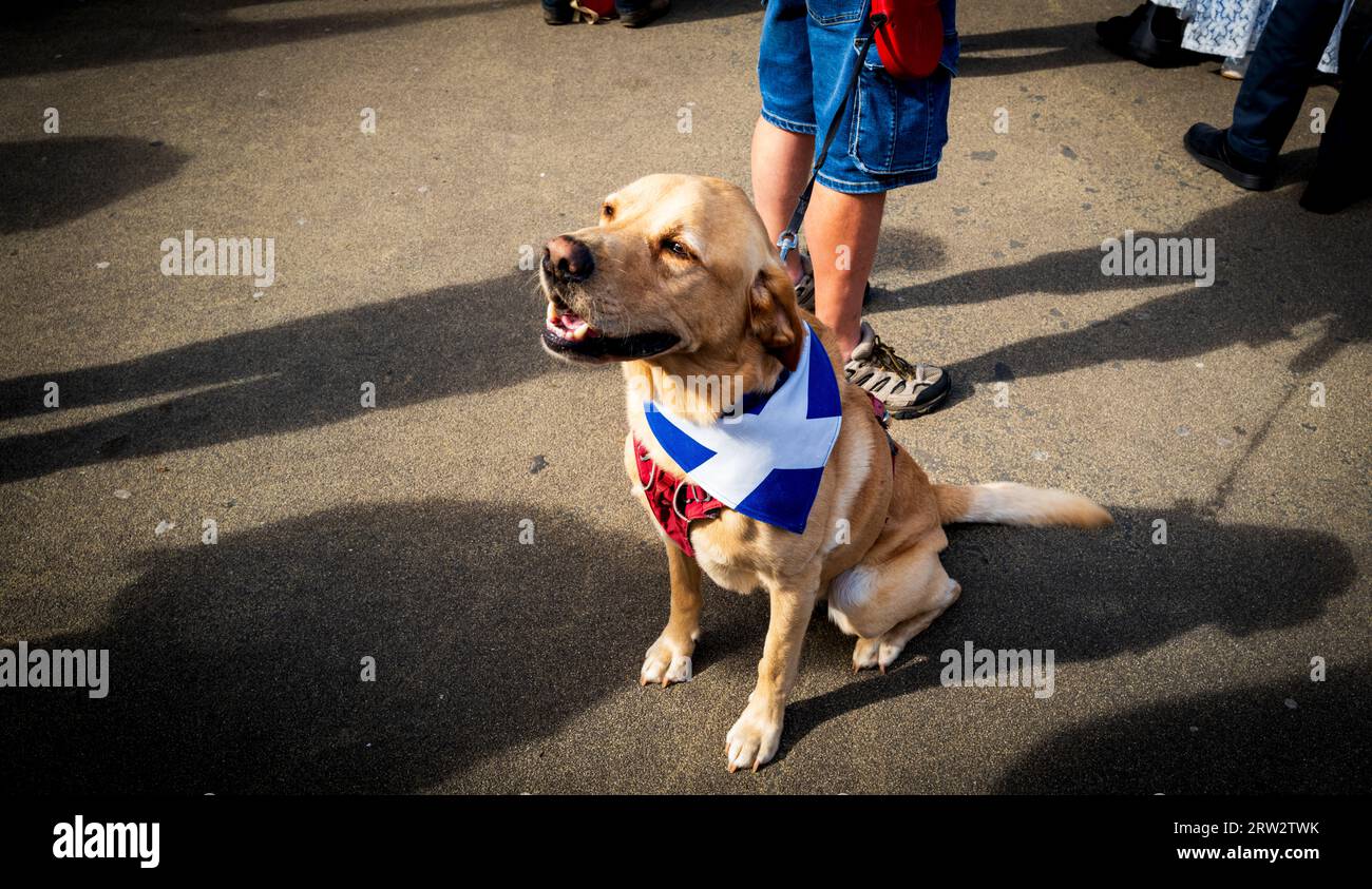 Glasgow: 16th September 2023 HOPE OVER FEAR independence rally at ...
