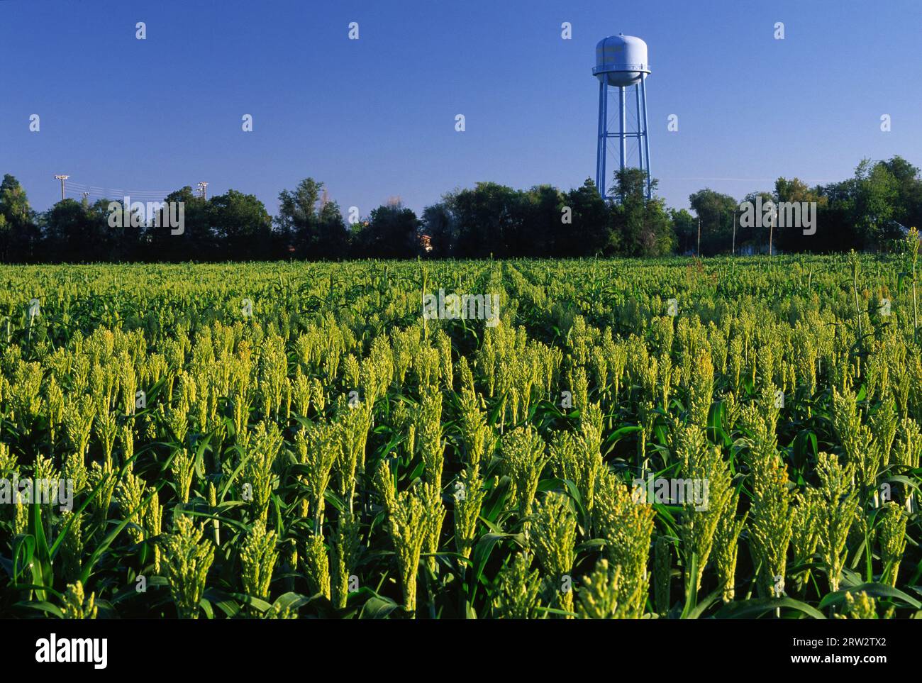 Rock tank hi-res stock photography and images - Alamy