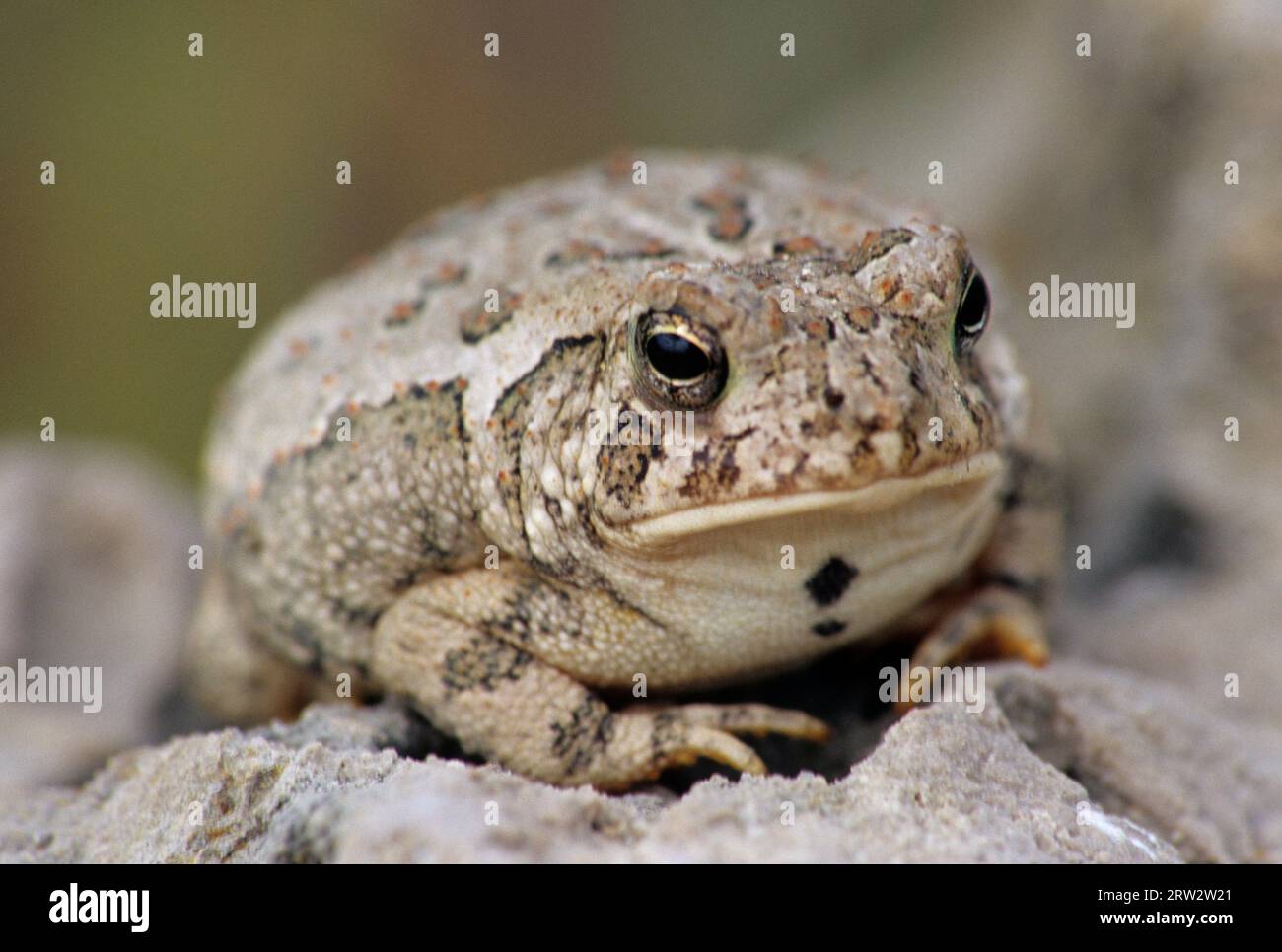 Southwind nature trail hi-res stock photography and images - Alamy