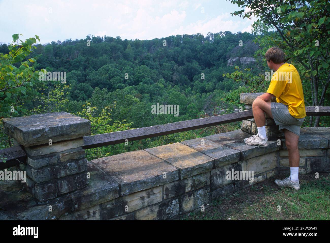 Great Gulf View, Natural Arch Scenic Area, Daniel Boone National Forest ...