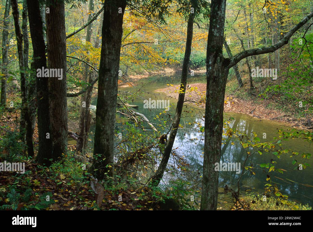 Red Wild andd Scenic River, Red River Gorge Geological Area, Daniel ...
