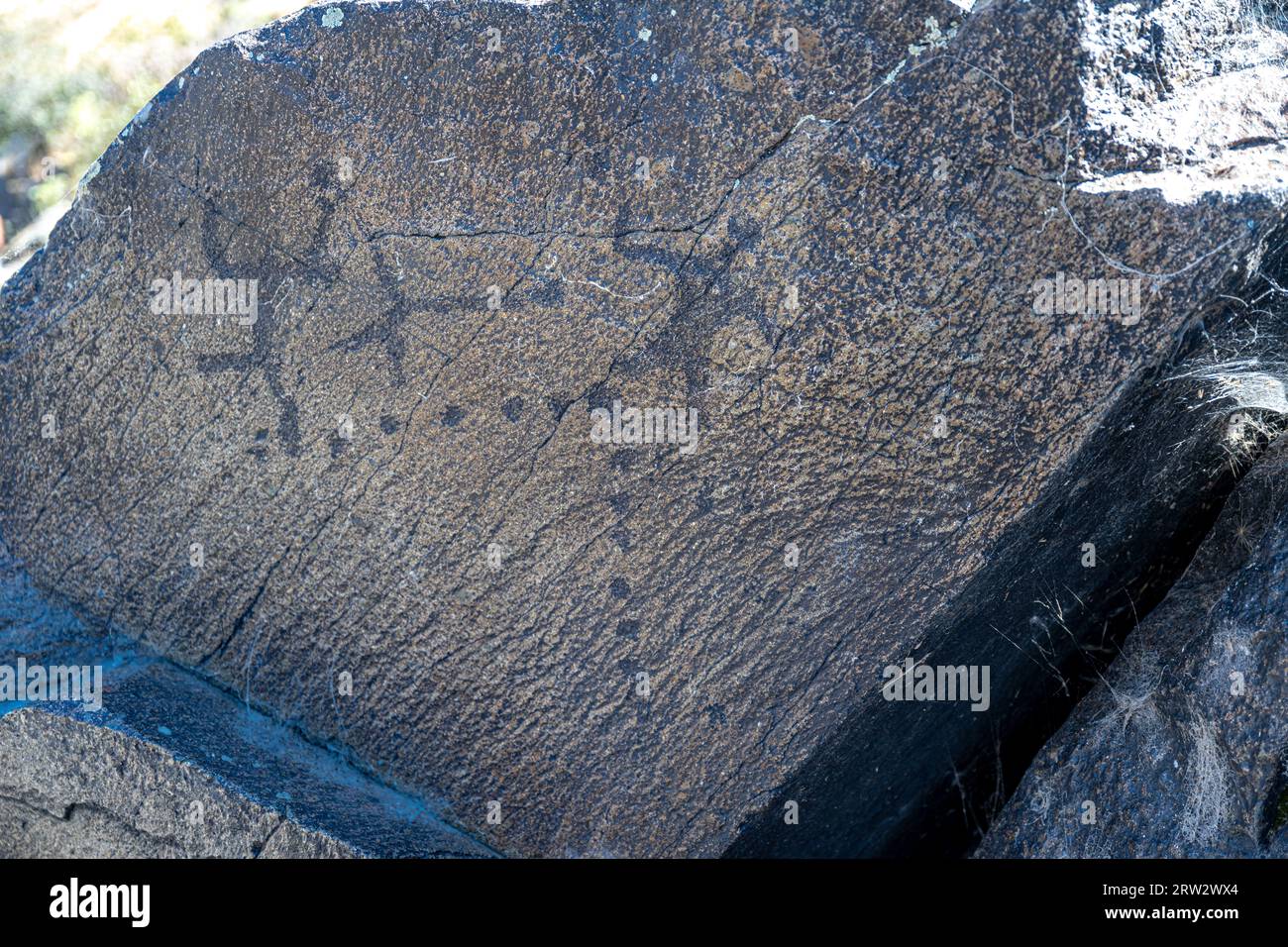 Nez Perce National Historical Park Petroglyphs, WA Stock Photo - Alamy