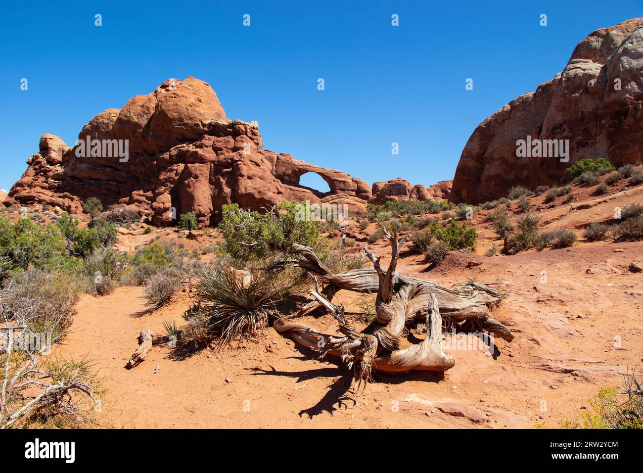 Natural arches national park hi-res stock photography and images - Alamy