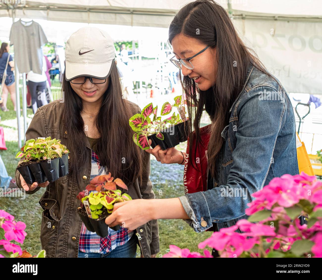 People shopping at the spring farmers market at the Community Harvest ...