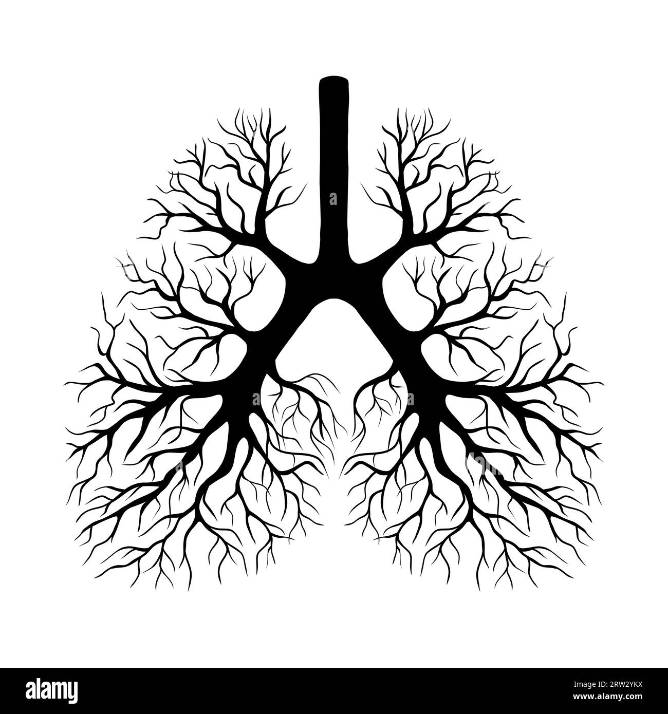 Illustration of human lungs Stock Vector Image & Art - Alamy