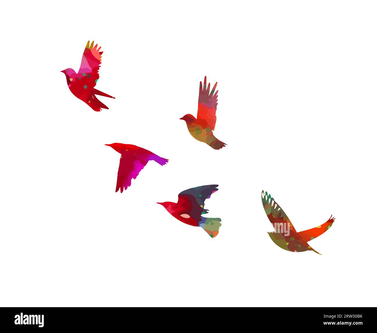 A flock of colored birds. Vector illustration Stock Vector Image & Art ...