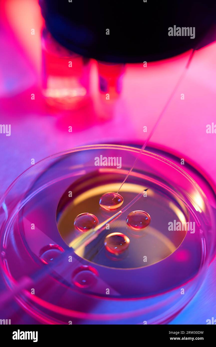 Cryo storage embryology hi-res stock photography and images - Alamy