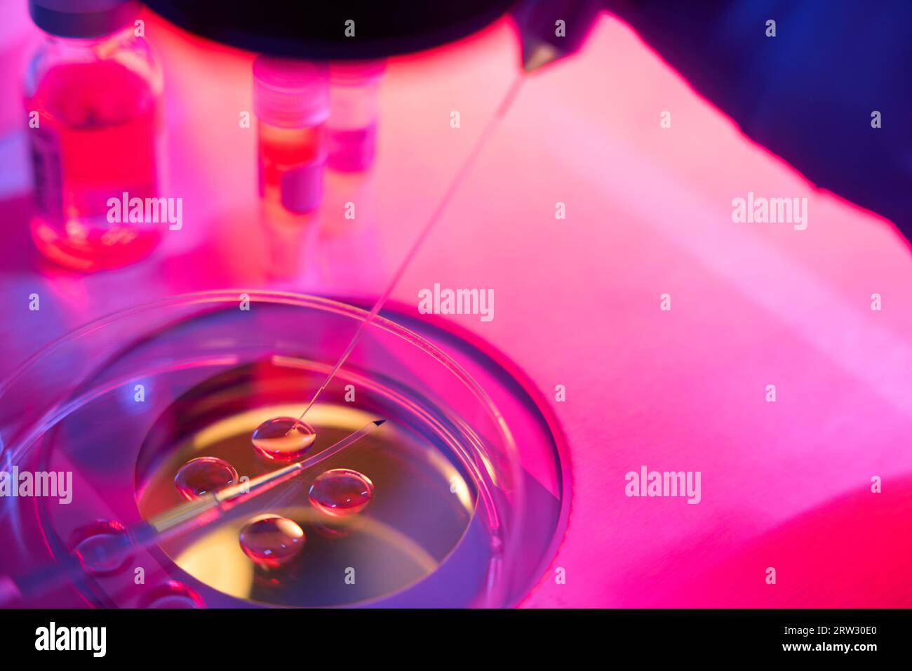 Cryo storage embryology hi-res stock photography and images - Alamy