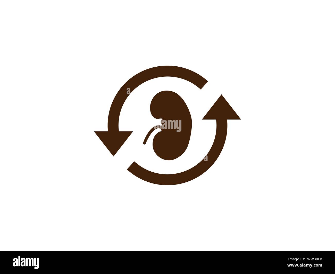 Transplant kidney icon. Vector illustration Stock Vector Image & Art ...