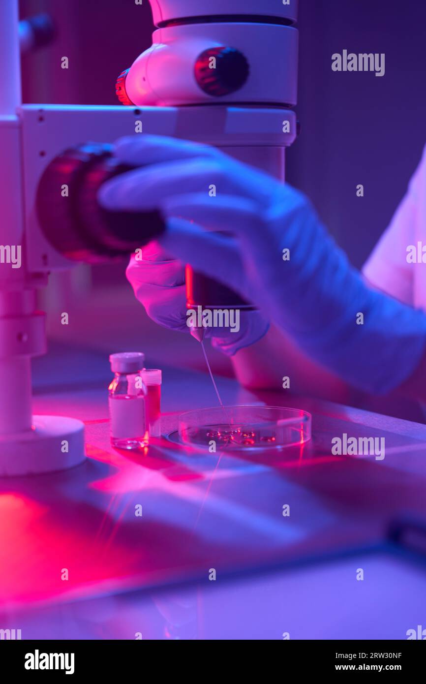 Embryologist hi-res stock photography and images - Alamy
