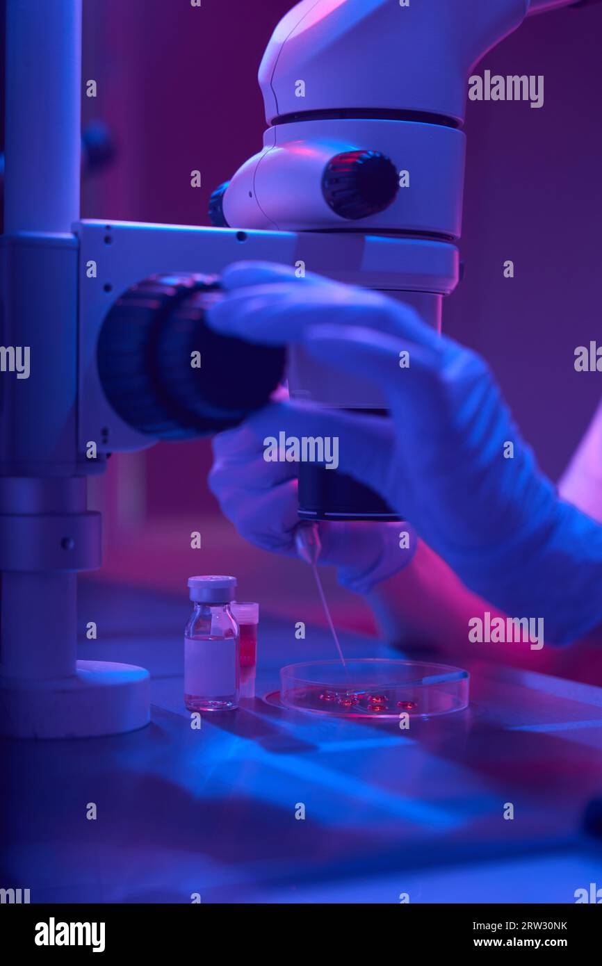 Embryologist works with the biomaterial using a powerful microscope ...