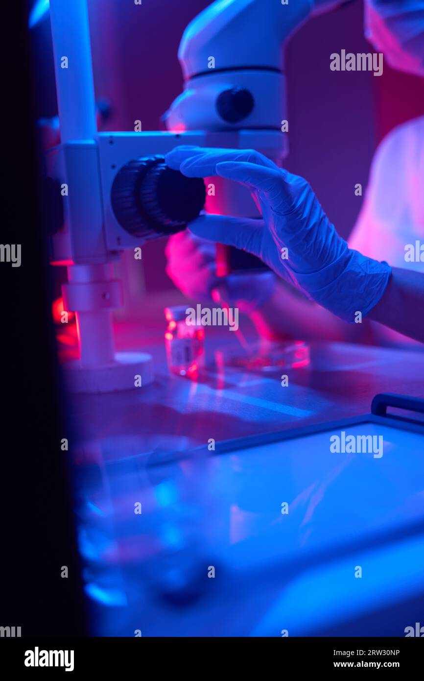 Laboratory assistant works with biomaterial using powerful microscope ...
