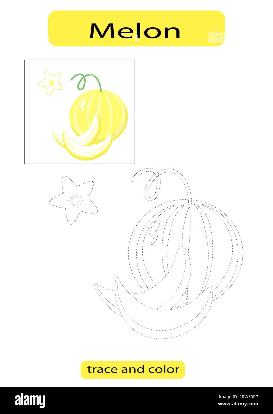 Melon, yellow fruit color, children's learning development, dotted line ...