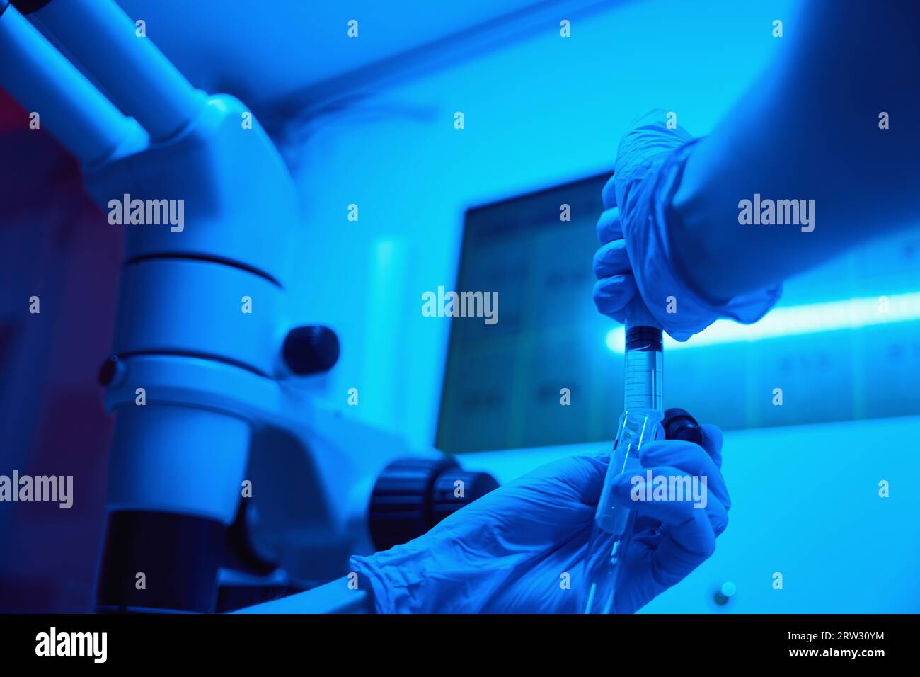 Medical laboratory assistant prepares hi-res stock photography and ...