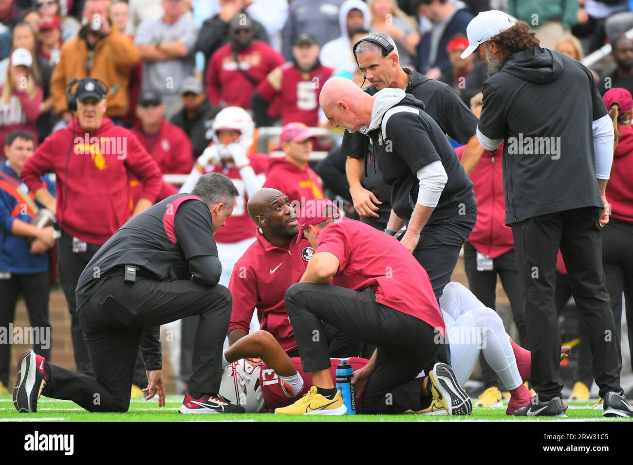September 16, 2023: Florida State Seminoles QB Jordan Travis (13) is ...