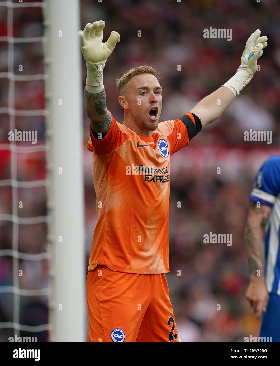 Brighton and Hove Albion goalkeeper Jason Steele during the Premier ...