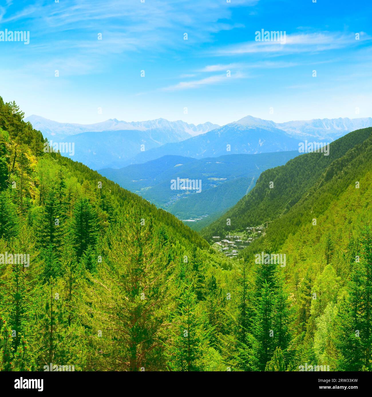 Covered with forests hi-res stock photography and images - Alamy