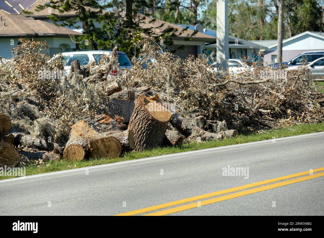 Broken tree limbs and branches on roadside from hurricane wind in ...