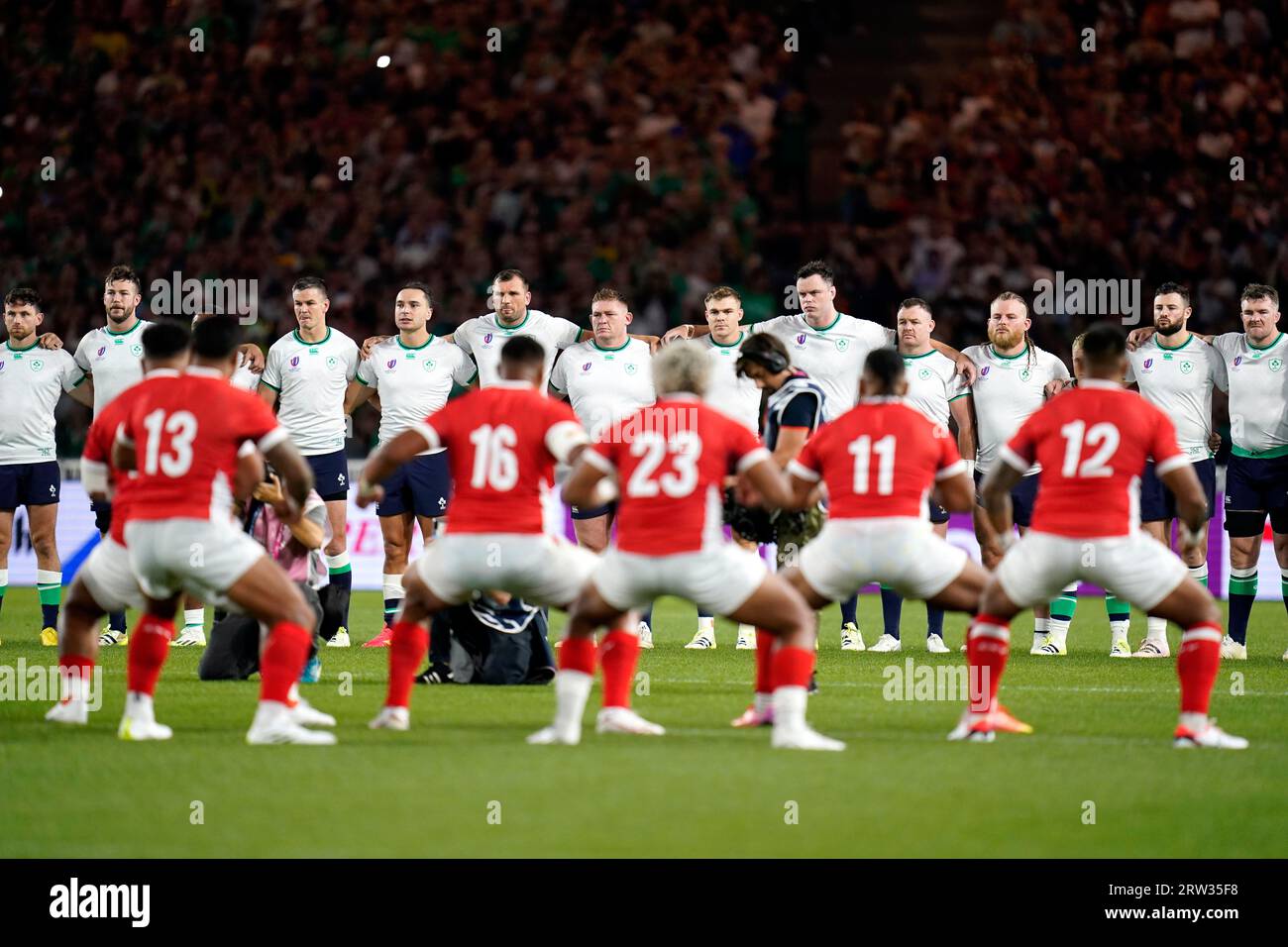 Tonga ampics hi-res stock photography and images - Alamy