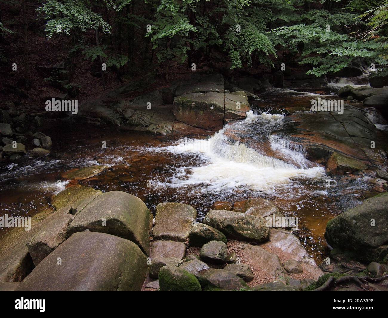 Mumlava river (Harrachov, Jablonec nad Nisou District, Liberec Region ...