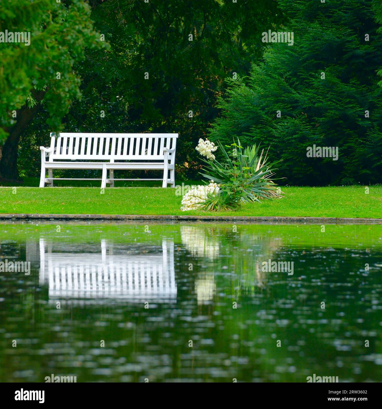 Empty bench at lake hi-res stock photography and images - Alamy