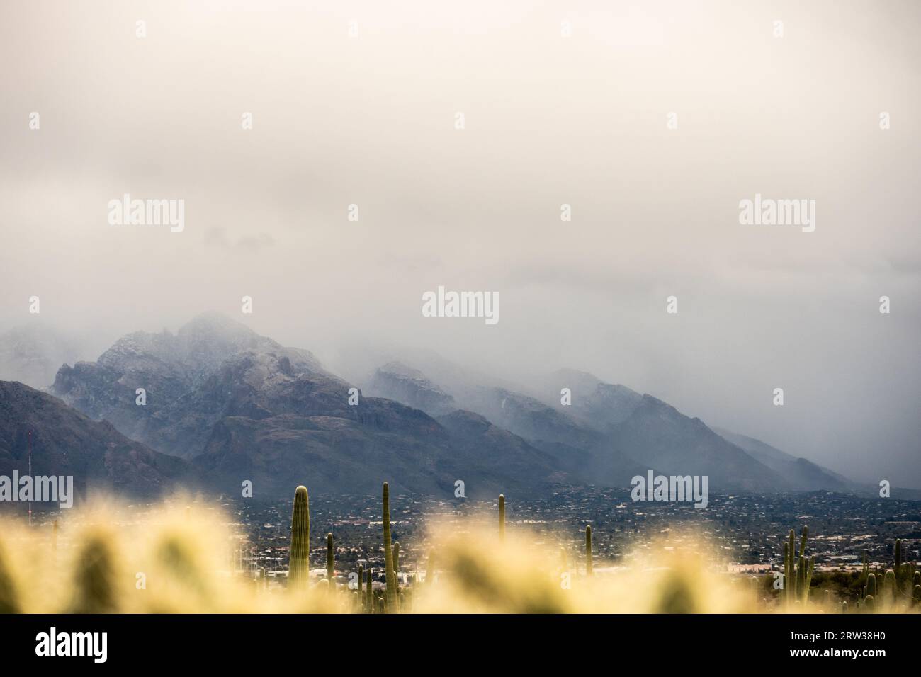 Low Clouds Fog In The Rincon Mountains Near Tucson during winter storm ...