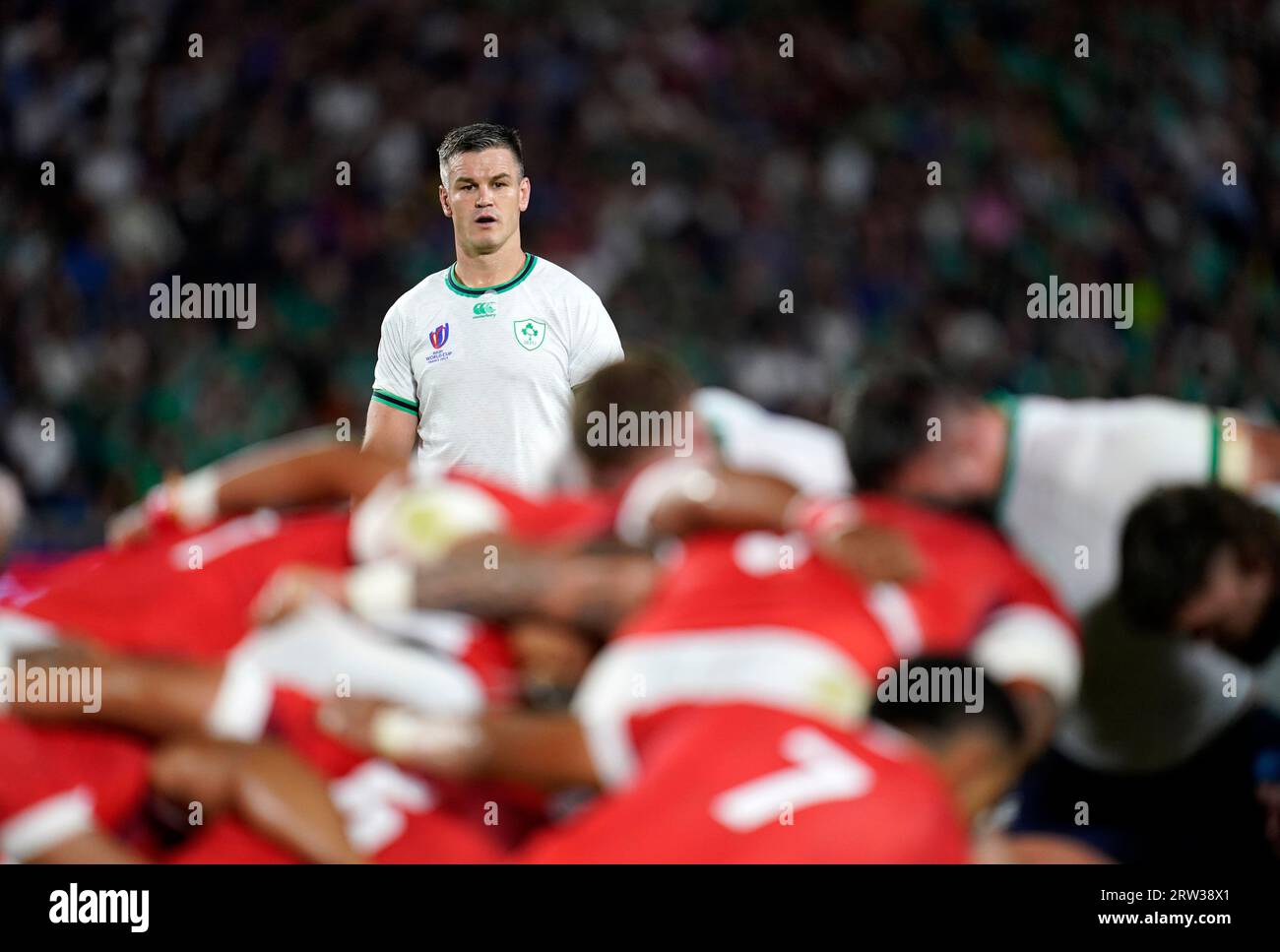 Tonga ampics hi-res stock photography and images - Alamy