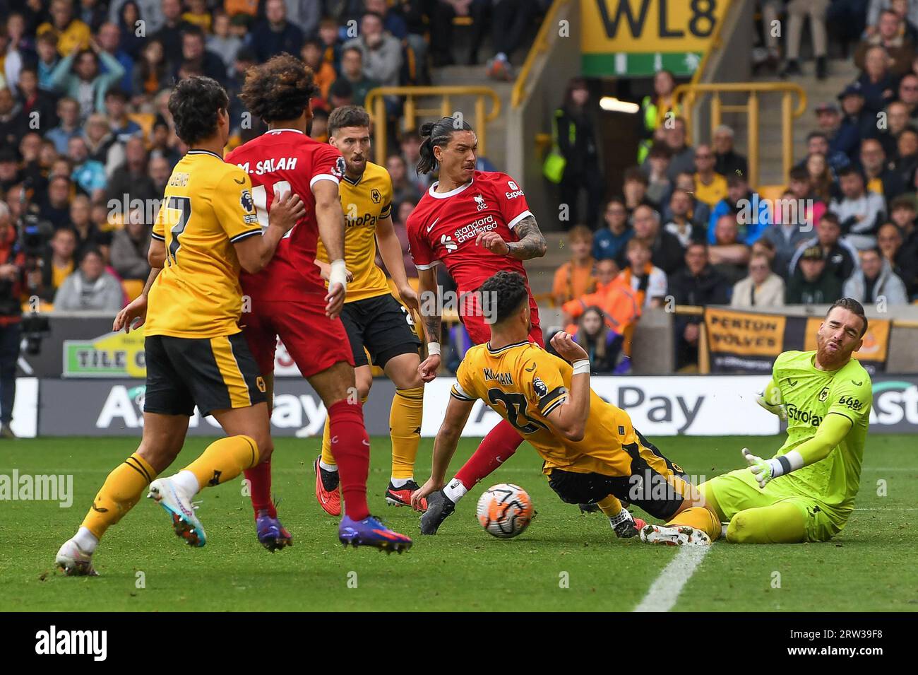 Darwin noe ez hi-res stock photography and images - Alamy