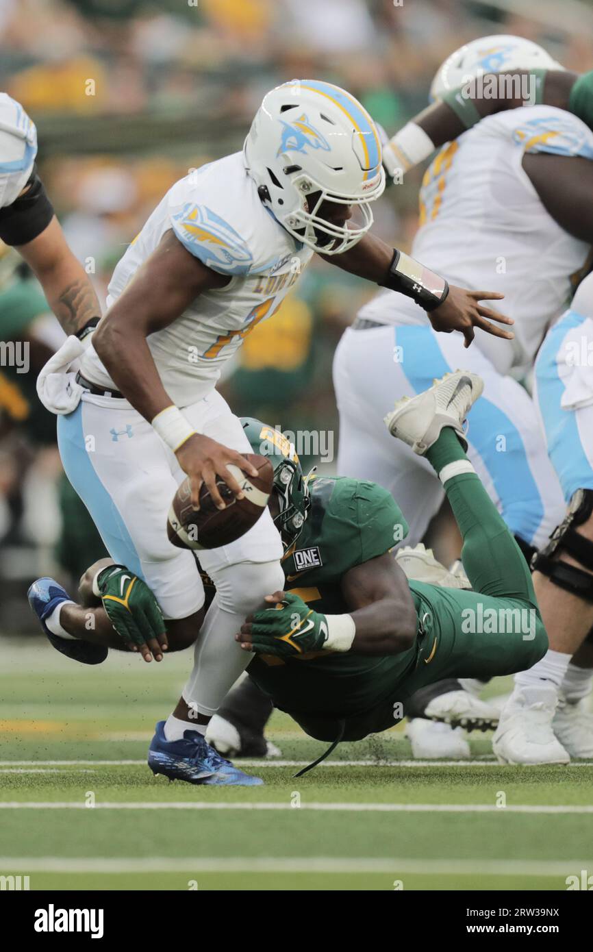 Waco, Texas, USA. 16th Sep, 2023. LIU quarterback ETHAN GREENWOOD (14) attempts to evade the ...