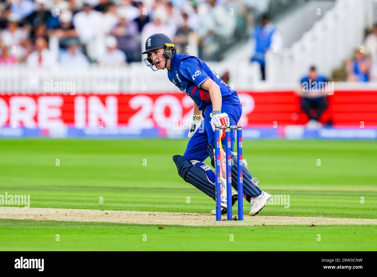 Harry brook cricket hi-res stock photography and images - Alamy