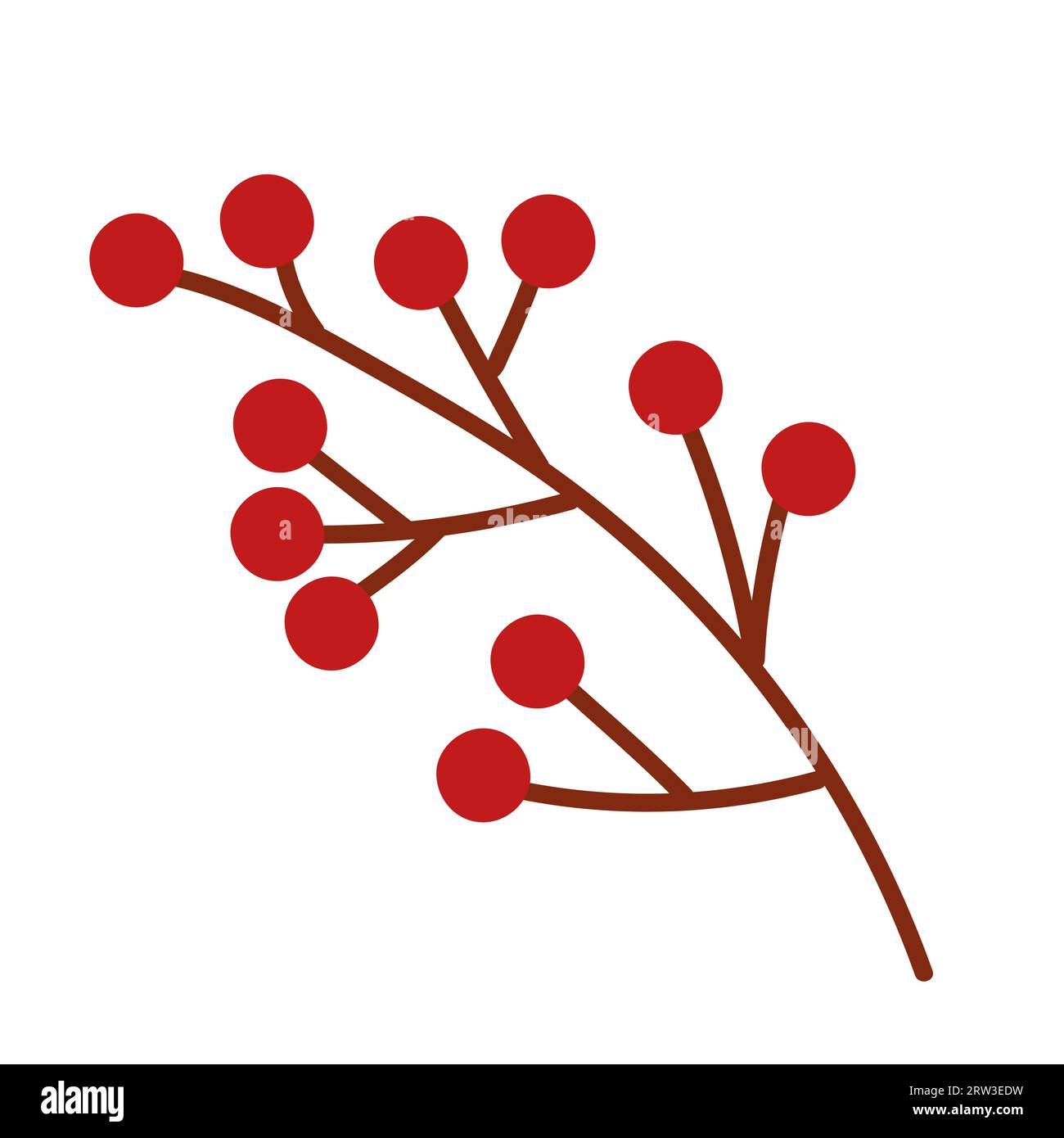 Branch mountain ash tree Stock Vector Images - Alamy