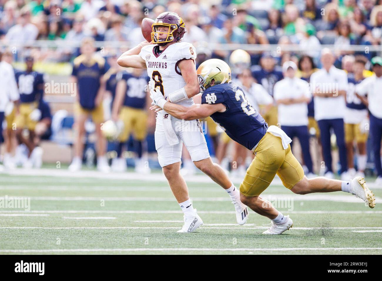 September 16, 2023: Notre Dame linebacker Jack Kiser (24) pressures ...