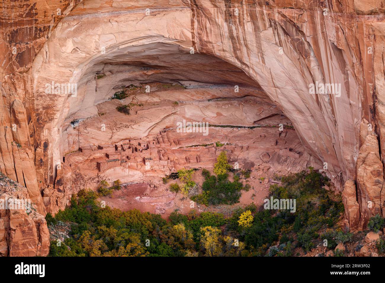 Navajo National Monument, Arizona Stock Photo - Alamy
